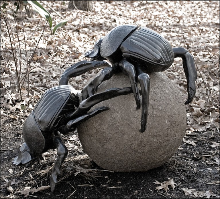 Dung art – Doug the Dung Beetle